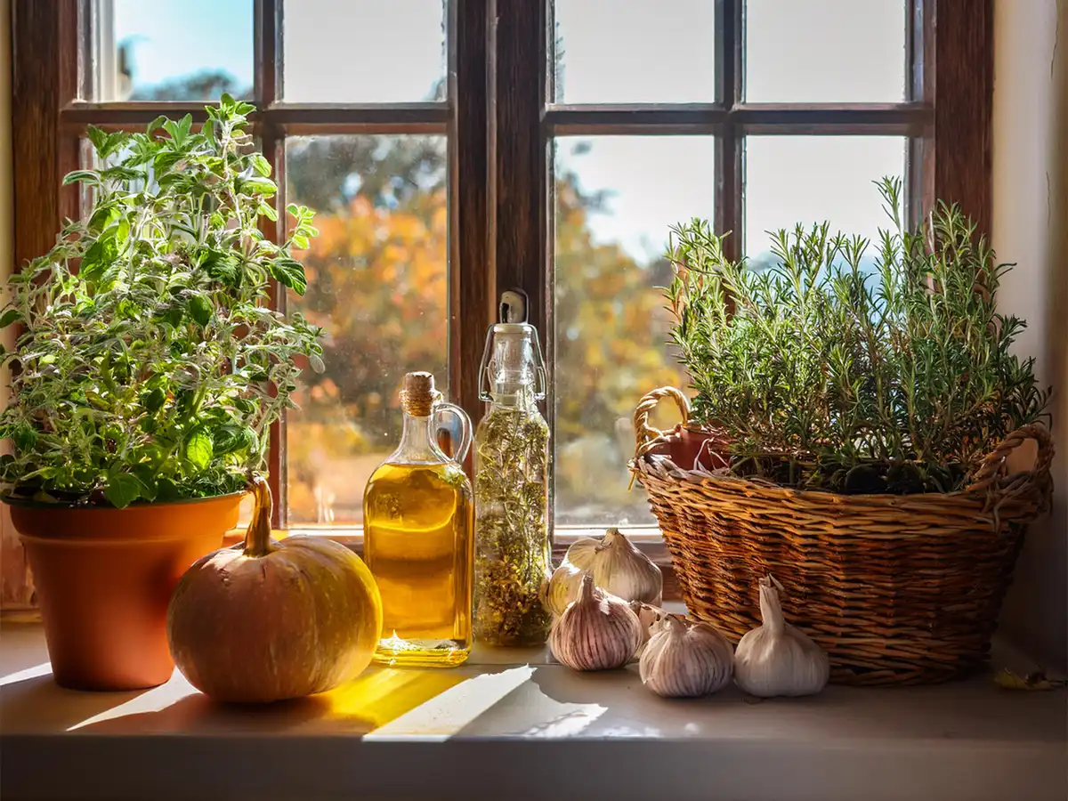 Cooking from Your Windowsill - Edible Santa Barbara and Wine Country